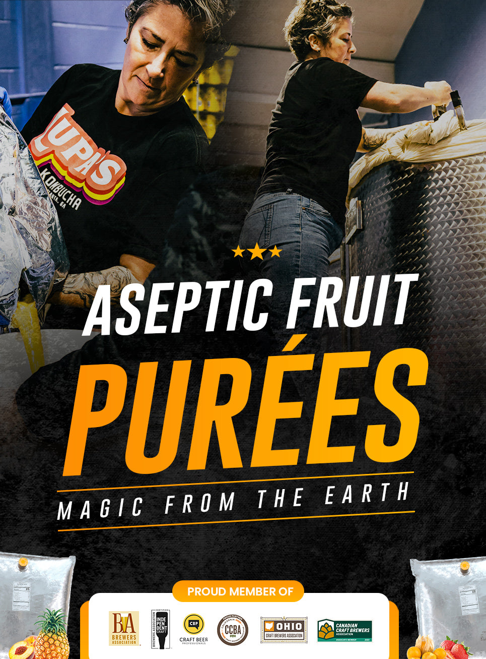 Aseptic Fruit Purees | Fresh Fruit Ingredient For Natural Beverages ...