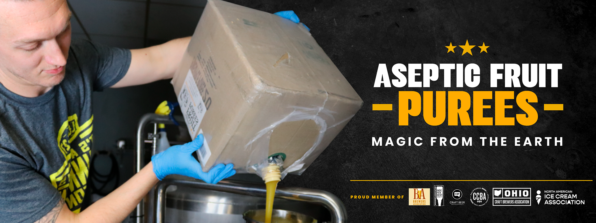 Fresh Fruit Ingredient For Natural Beverages – AFP | Aseptic Fruit Purees