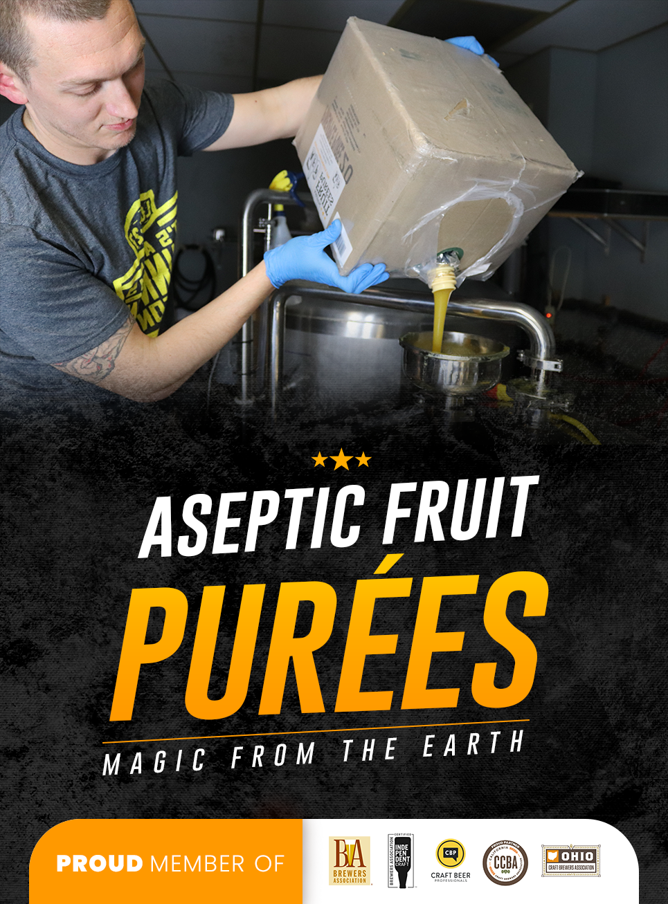 Aseptic Fruit Purees | Fresh Fruit Ingredient For Natural Beverages ...