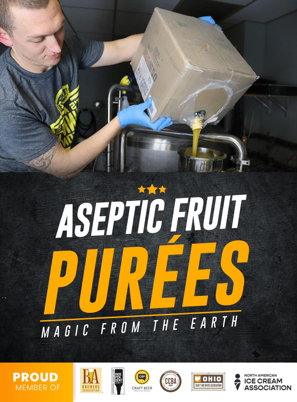 Aseptic Fruit Purees | Fresh Fruit Ingredient For Natural Beverages ...