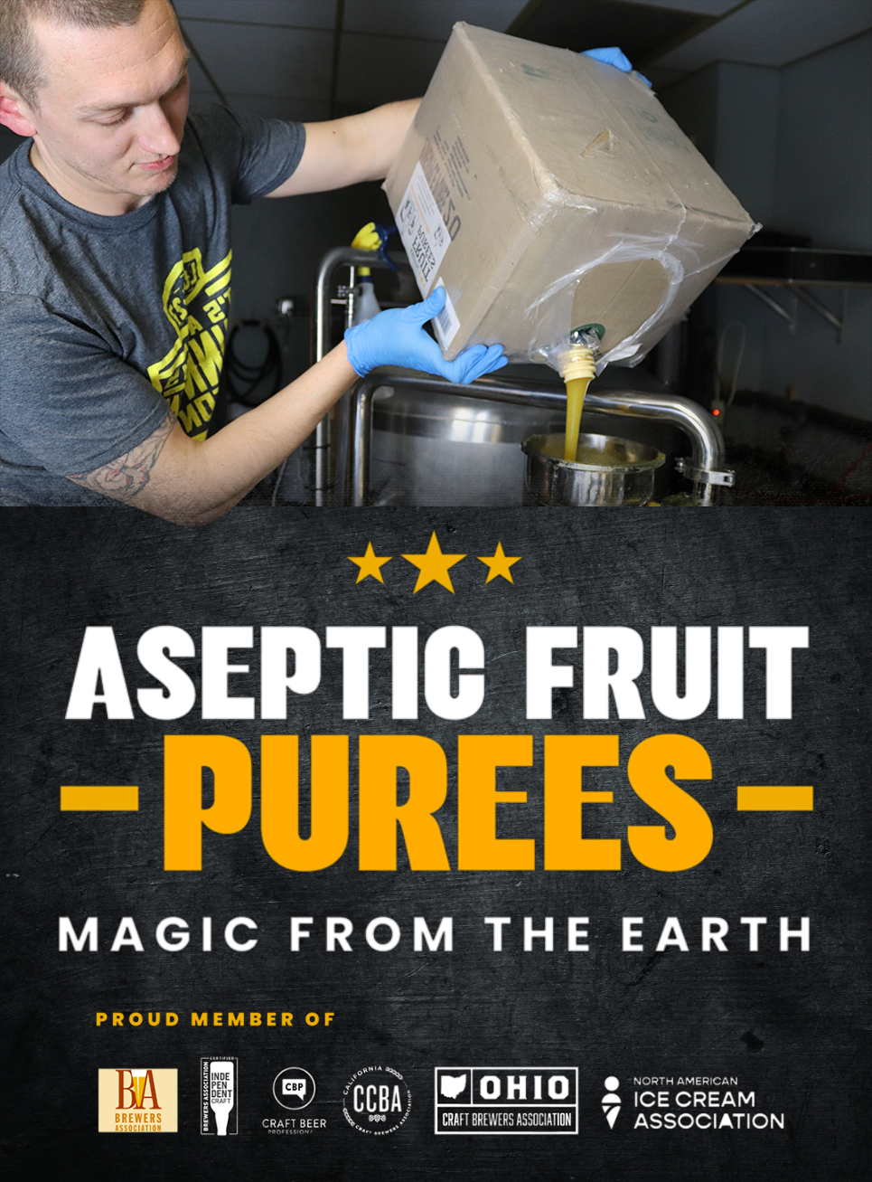 Fresh Fruit Ingredient For Natural Beverages – AFP | Aseptic Fruit Purees
